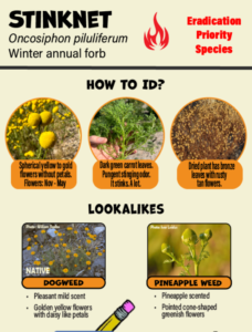 Resources - Stinknet Stay Away