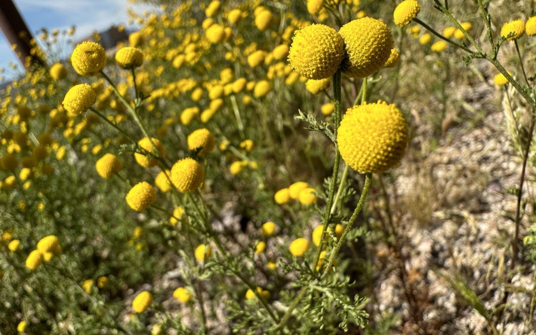 Home - Stinknet Stay Away