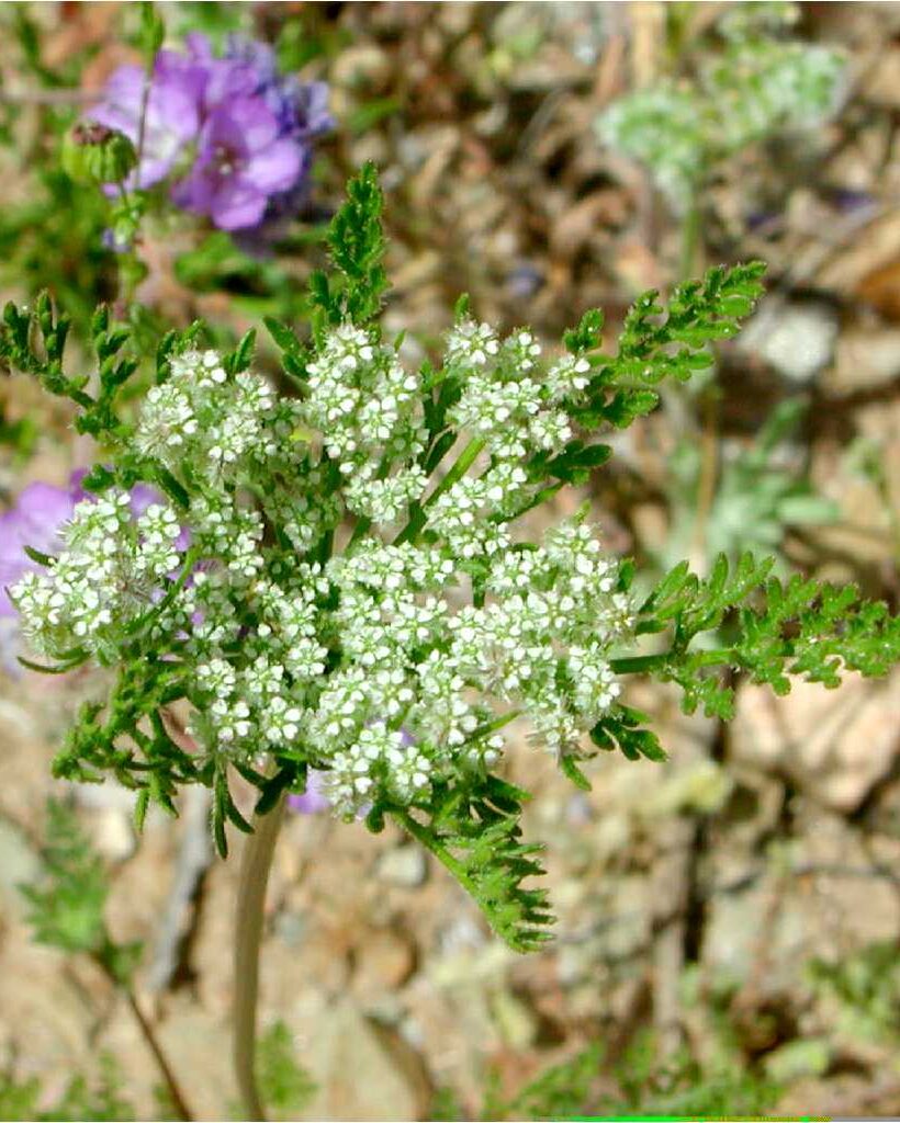 Home - Stinknet Stay Away