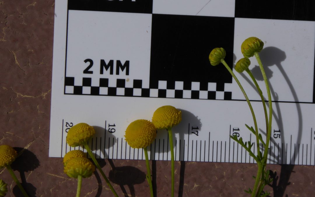 Home - Stinknet Stay Away