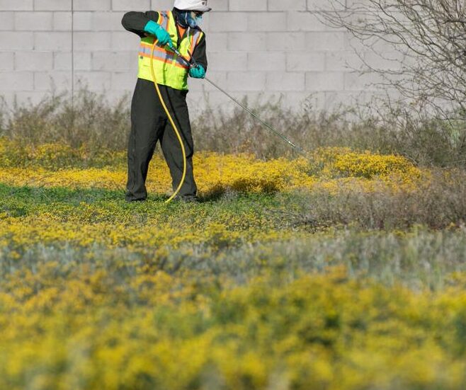 Home - Stinknet Stay Away