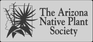 Home - Stinknet Stay Away