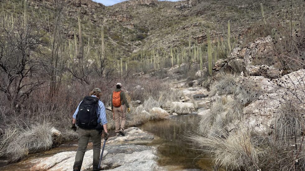 Home - Stinknet Stay Away