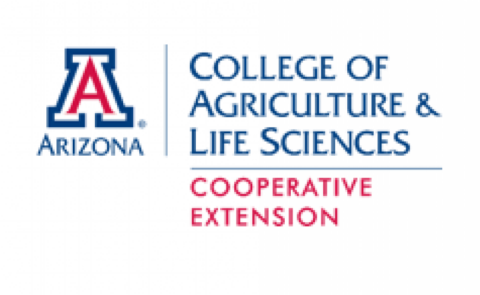 Home - Stinknet Stay Away